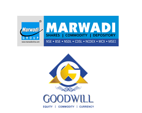 Goodwill Commodities Vs Marwadi Shares | Which Broker is Best for You?