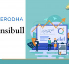 Zerodha Pi Review 2021 | Download Software, Charges, Bridge, Errors